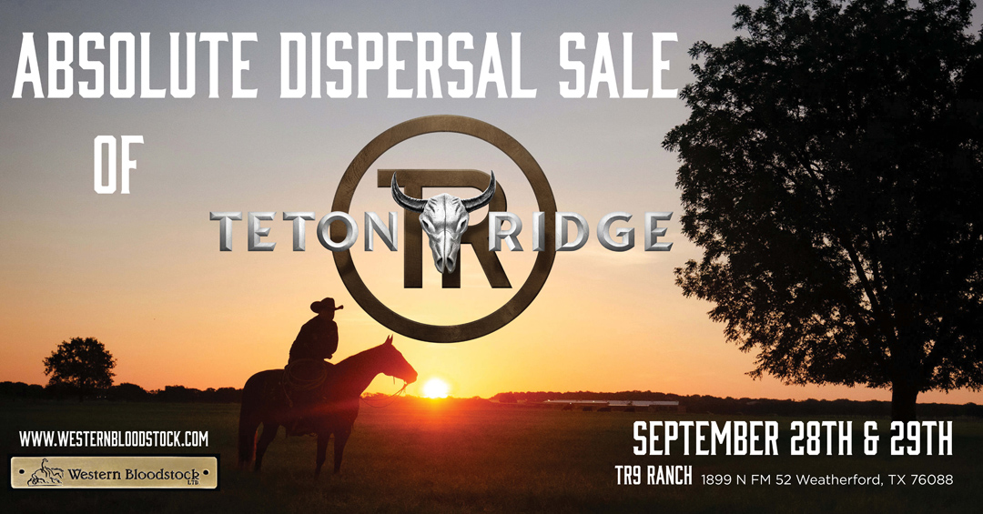Western Bloodstock Presents Teton Ridge Absolute Dispersal ...