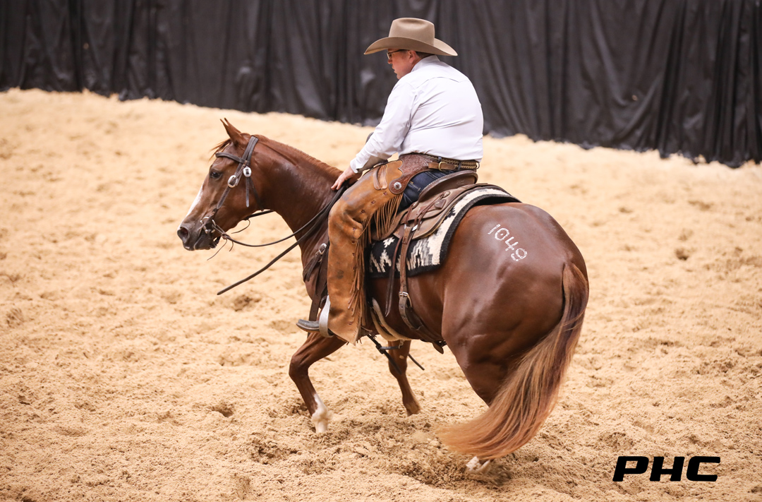 Day 1 of 2025 NCHA Futurity Sales SUPER Solid – SallyHarrison.com